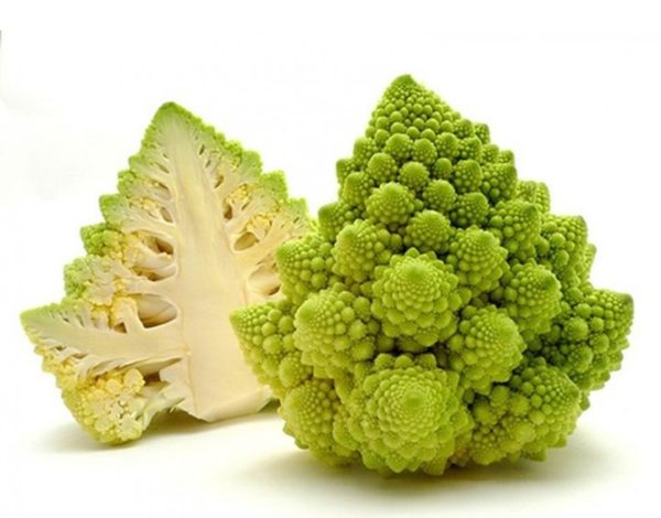12 choux à déguster, un des légumes typiques de l'automne