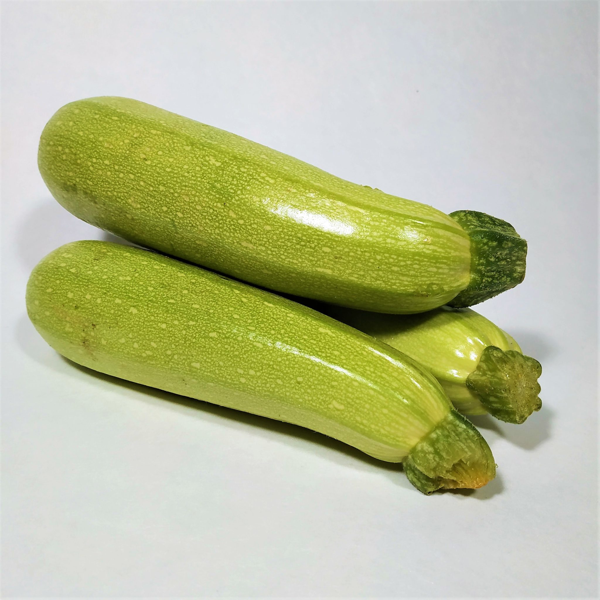 Les légumes de printemps et ses primeurs | le Village Potager